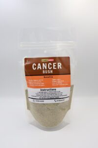 Discover The Incredible Benefits Of Cancer Bush, A Miracle Herb For ...